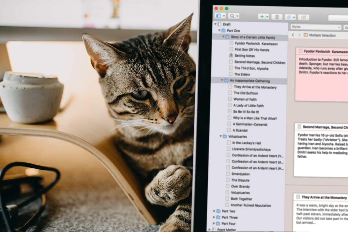 Scrivener Software Overview - Tame Your Book!